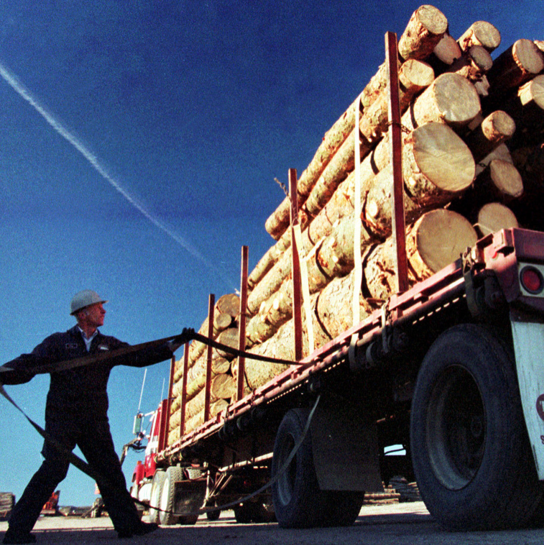 Canadian First Nation People Celebrate Victory Over Logging Industry ...