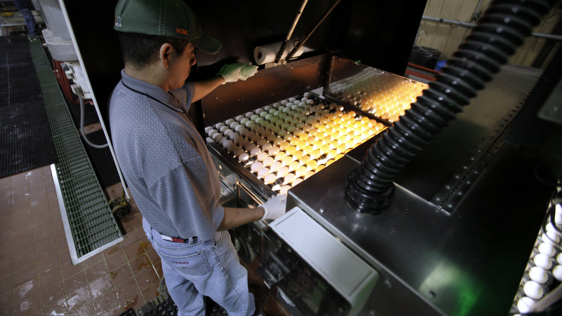 Meatpacking Workers Fight "Unacceptable And Inhumane" Conditions