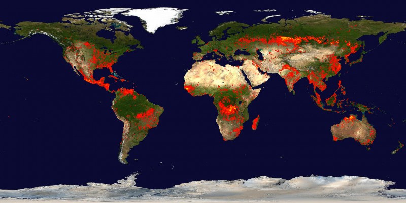 NASA Map Shows How The World’s Forests Are Going Up In Smoke