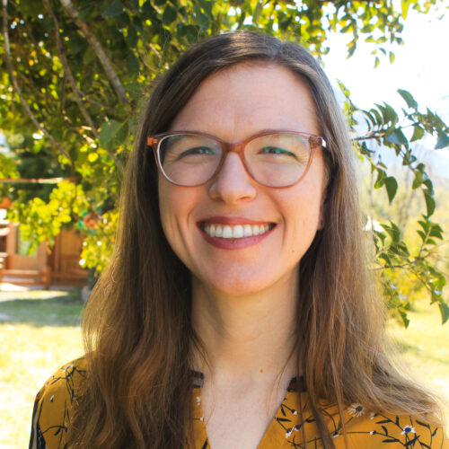 Whitney Webb，作者MintPress News