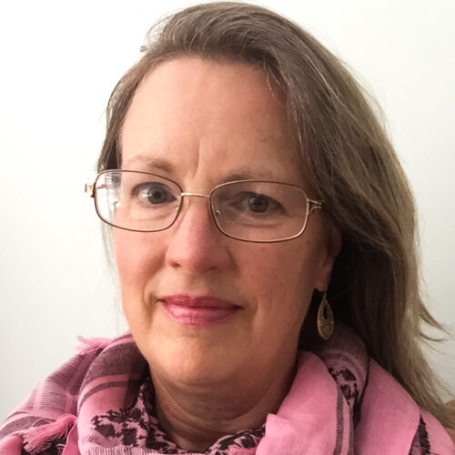 Kathryn Shihadah，作者MintPress News